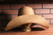Aunt Fran (Practical Magic 1998) – BaronHats
